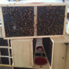Spicer Bees Shop - Spicer Bees